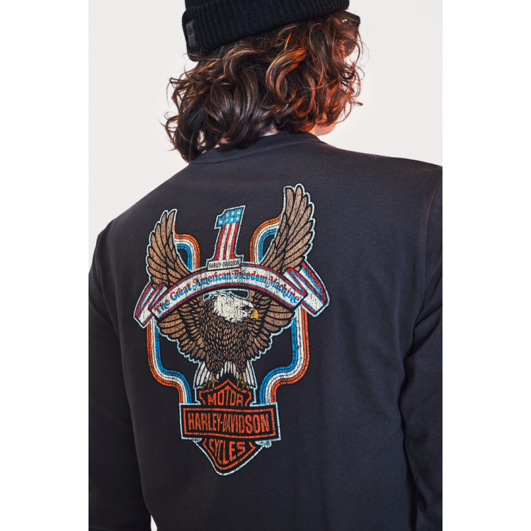 Реглан чоловічий довгий рукав розмір M 96249-20VH/000M (TEE-KNIT,BLACK ...